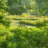 Waterloo-Pinckney Trail, Michigan - 434 Reviews, Map | AllTrails