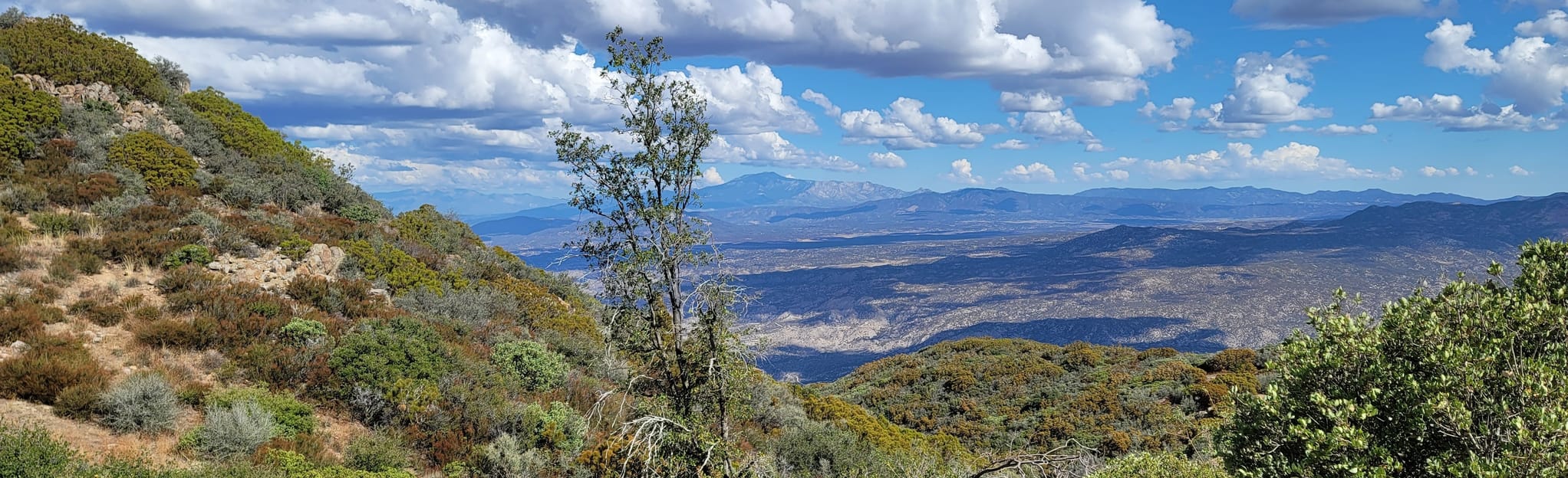 Oak Grove Trail to High Point, California - 1,019 Reviews, Map | AllTrails