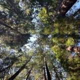 Ridge Loop Trail , Washington - 326 Reviews, Map | AllTrails