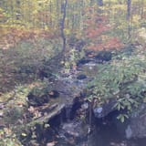 Benedict Pond Loop Trail, Massachusetts - 609 Reviews, Map | AllTrails