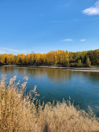 10 Best Walking Trails in Calgary | AllTrails