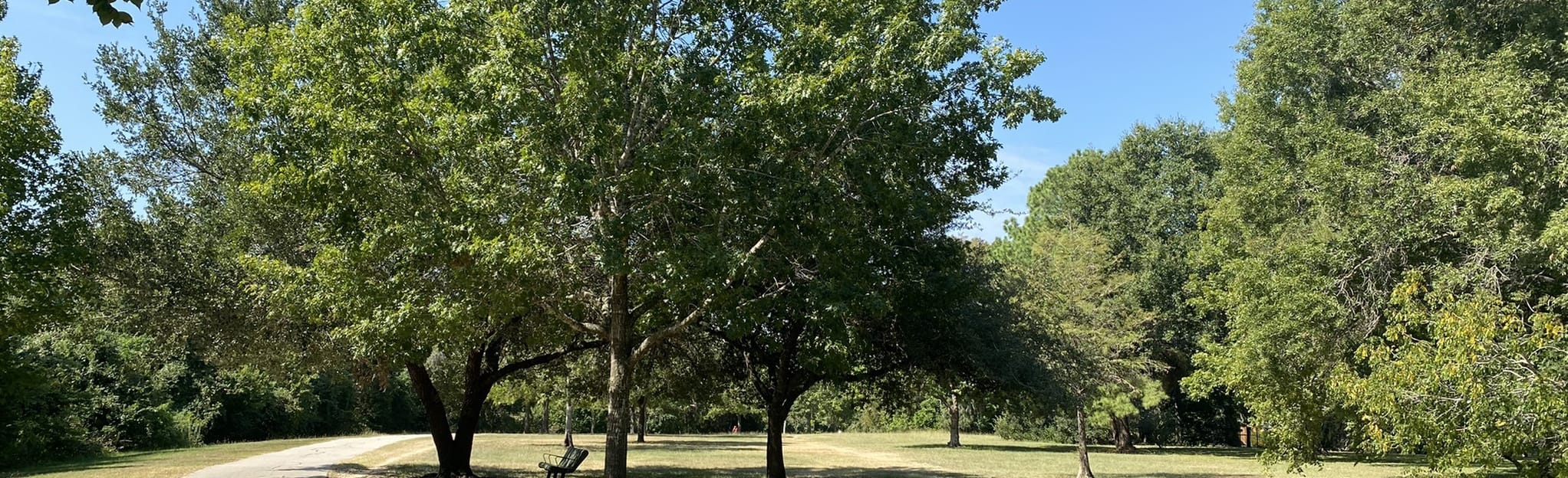 Blue Jay, Anthills, and Quail Trail Loop - Texas | AllTrails