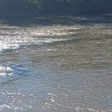 Dan Riverwalk Trail, Virginia - 270 Reviews, Map | AllTrails