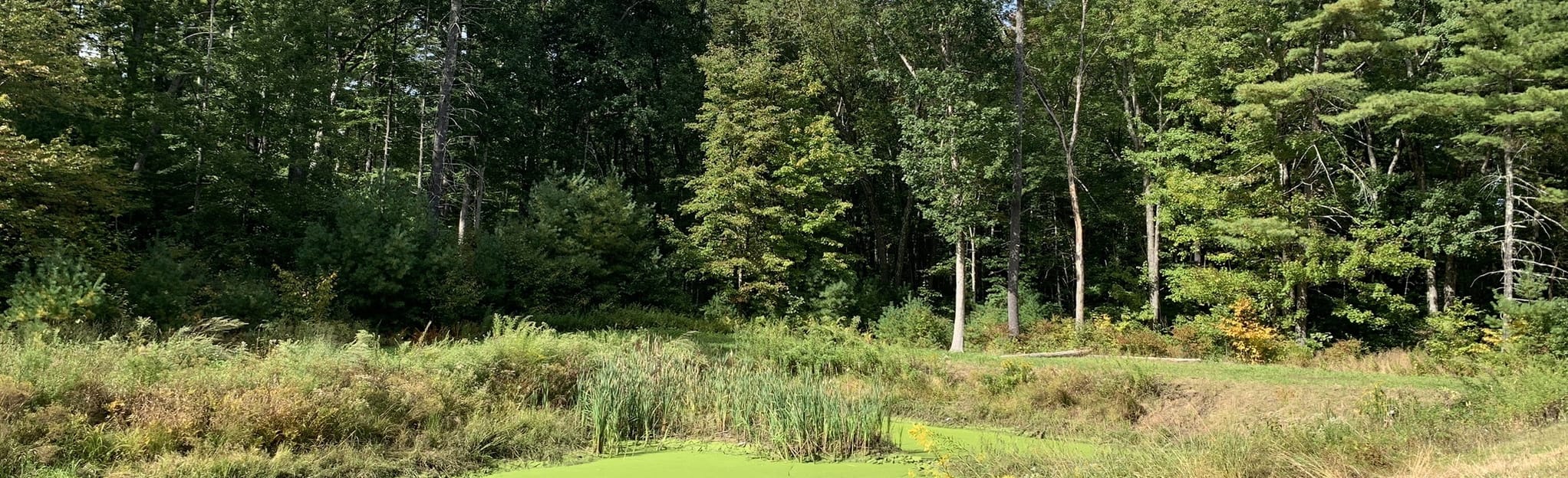 Wildcat Falls via North Loop Trail, New Hampshire - 146 Reviews, Map ...