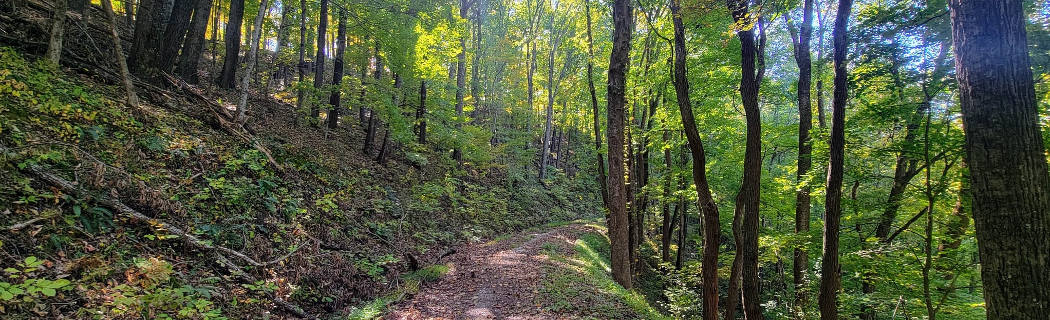 Limestone Bike Trail: 32 Reviews, 105 Photos, Map - Kentucky | AllTrails