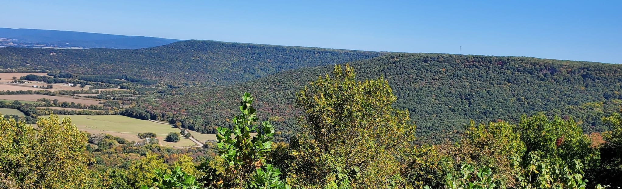 Shakerag Hollow via Perimeter Trail, 479 Fotos - Tennessee | AllTrails