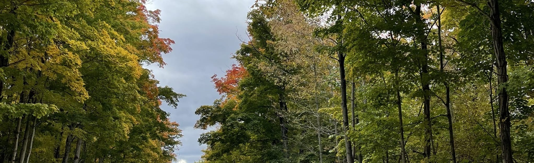 Bruce Trail: Sydenham Loop: 184 foto's - Ontario, Canada | Wandelen ...