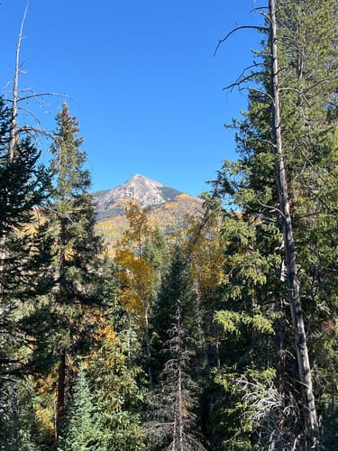 Best Hikes and Trails in Steamboat Lake State Park | AllTrails