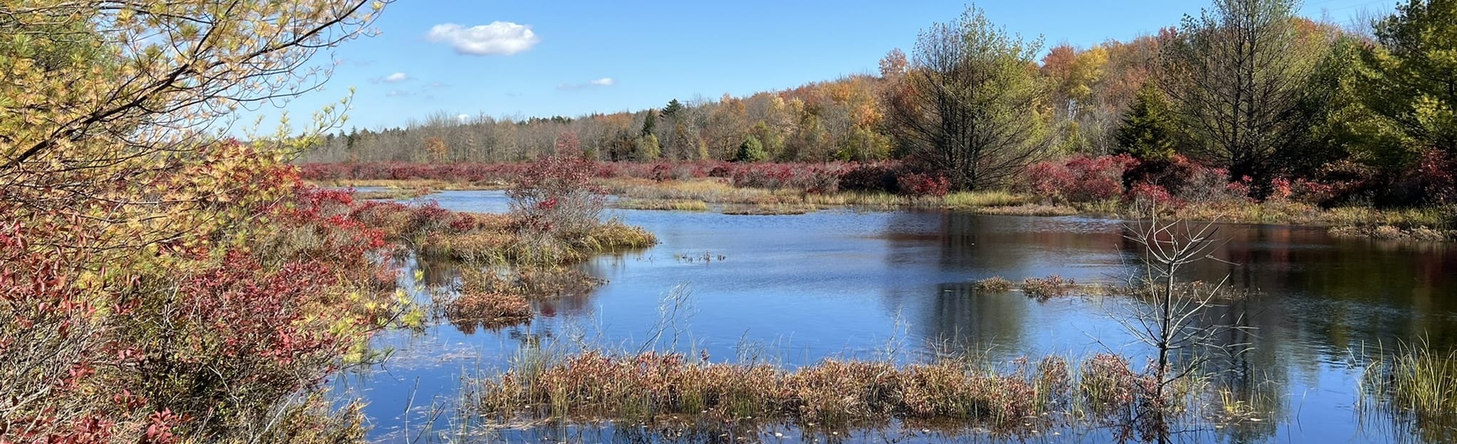 Thomas Darling Blue Loop: 252 Reviews, Map - Pennsylvania | AllTrails