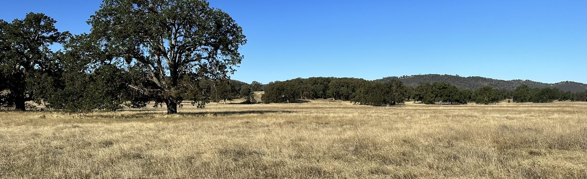 Cache Creek Trail, California - 156 Reviews, Map | AllTrails