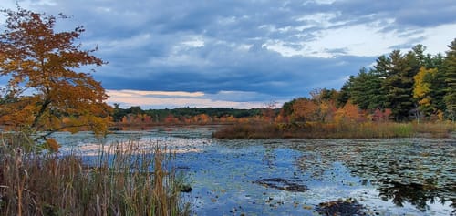 2023 Best 10 Trails and Hikes in Andover | AllTrails