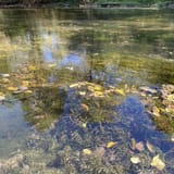 Spring Creek Canyon Trail, Pennsylvania - 462 Reviews, Map | AllTrails