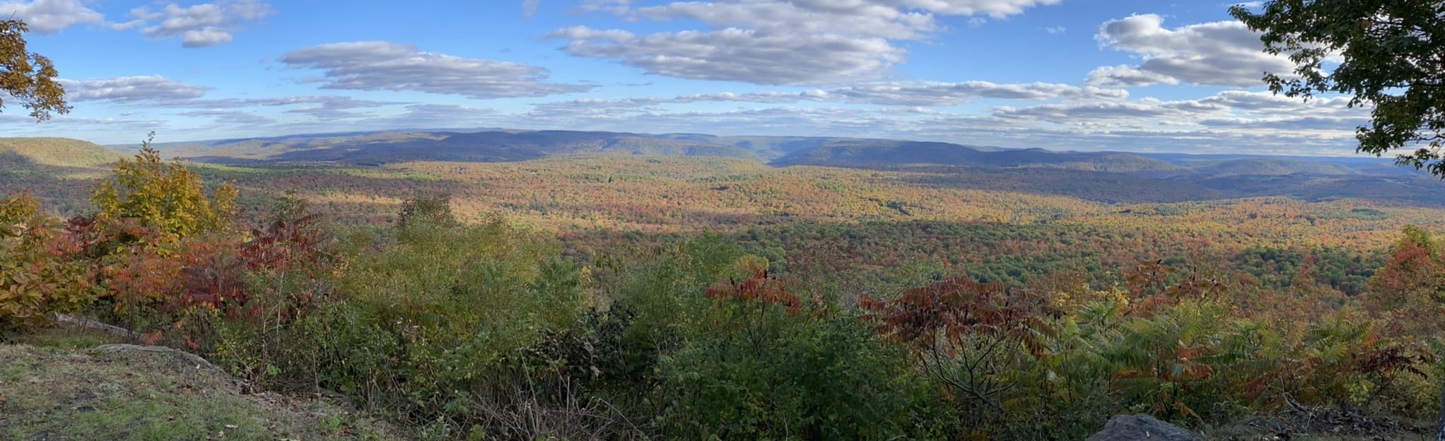 Sharp Top via Old Loggers Trail: 109 Reviews, Map - Pennsylvania ...