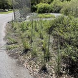 Largo Nature Preserve Loop, Florida - 344 Reviews, Map | AllTrails