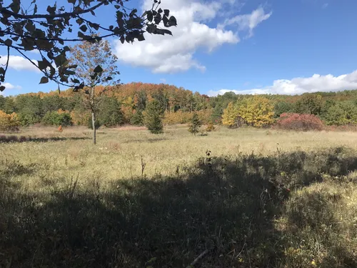 Best Bird Watching Trails in Goodrich-Loomis Conservation Area | AllTrails