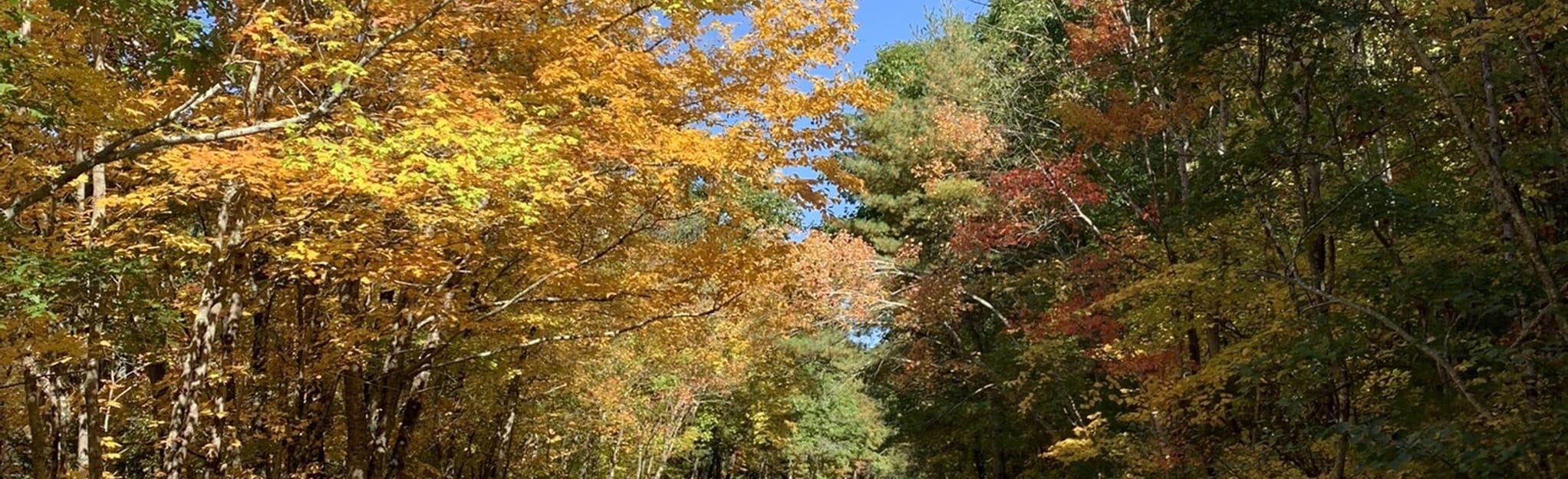 Tri-Point and Midstate Loop: 168 Reviews, Map - Massachusetts | AllTrails