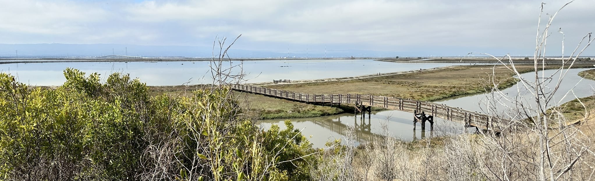 Tidelands Trail Loop: 344 Reviews, Map - California | AllTrails
