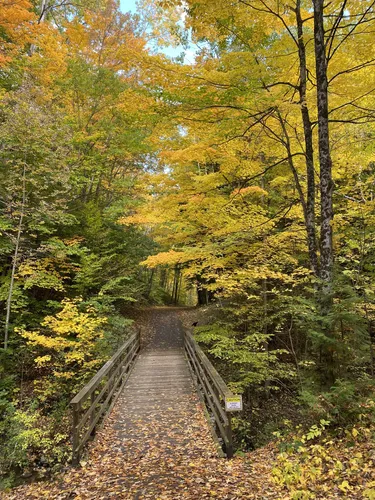 10 Best Trails and Hikes in Tiny | AllTrails