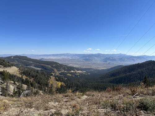 Best Hikes and Trails in Palisades Wilderness Study Area | AllTrails