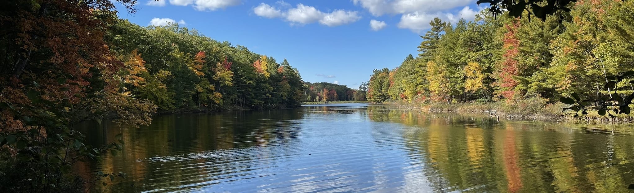 Lost Lake Pathway, Michigan - 728 Reviews, Map | AllTrails