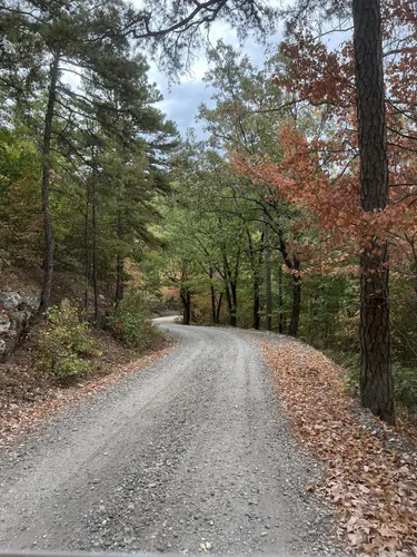 10 Best Trails and Hikes in Mena | AllTrails