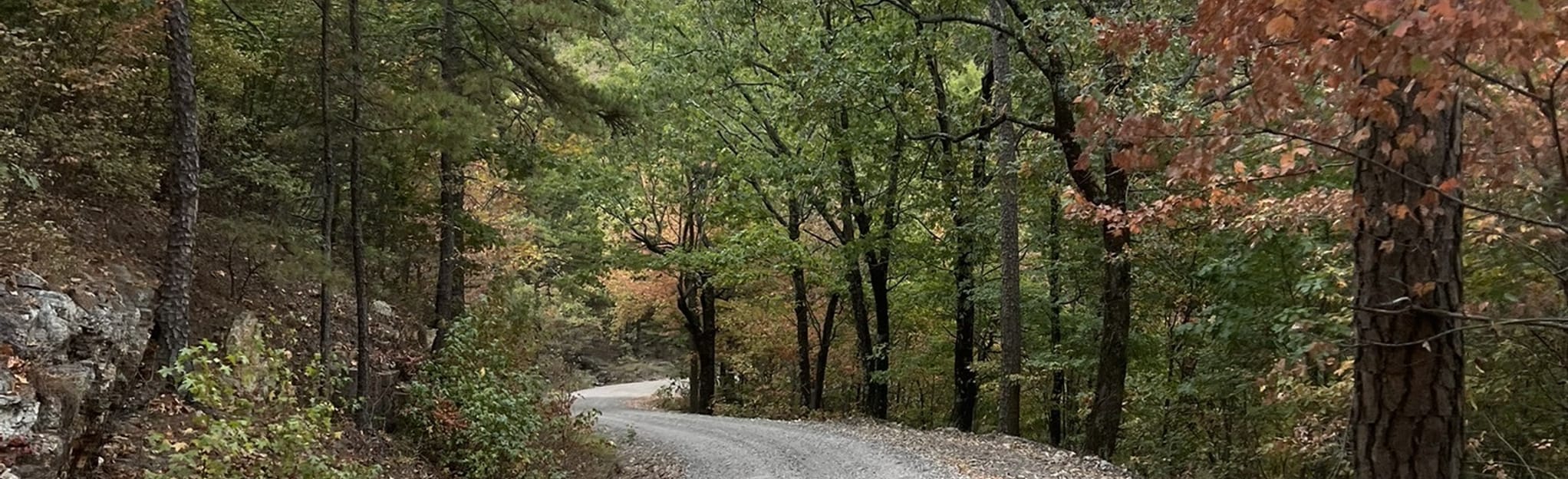 Wolf Pen Gap OHV Trail, Arkansas - 74 Reviews, Map | AllTrails