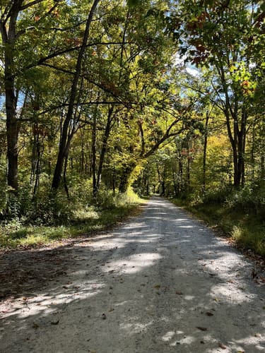 2023 Best Easy Trails in Forbes State Forest | AllTrails