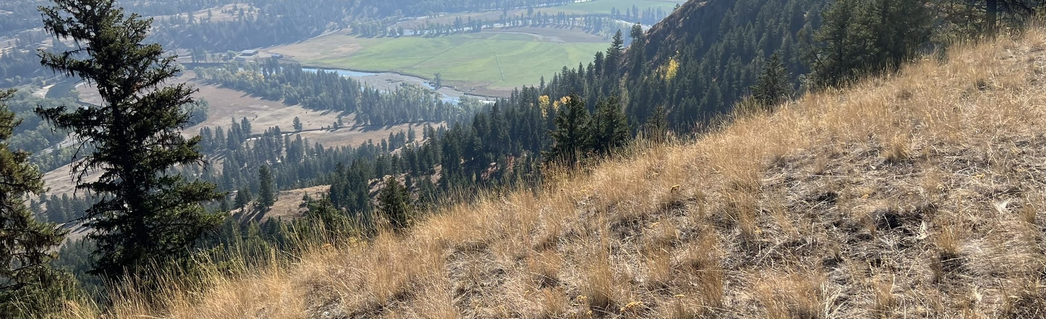 Midway Red Trail Loop: 32 Reviews, Map - British Columbia, Canada ...