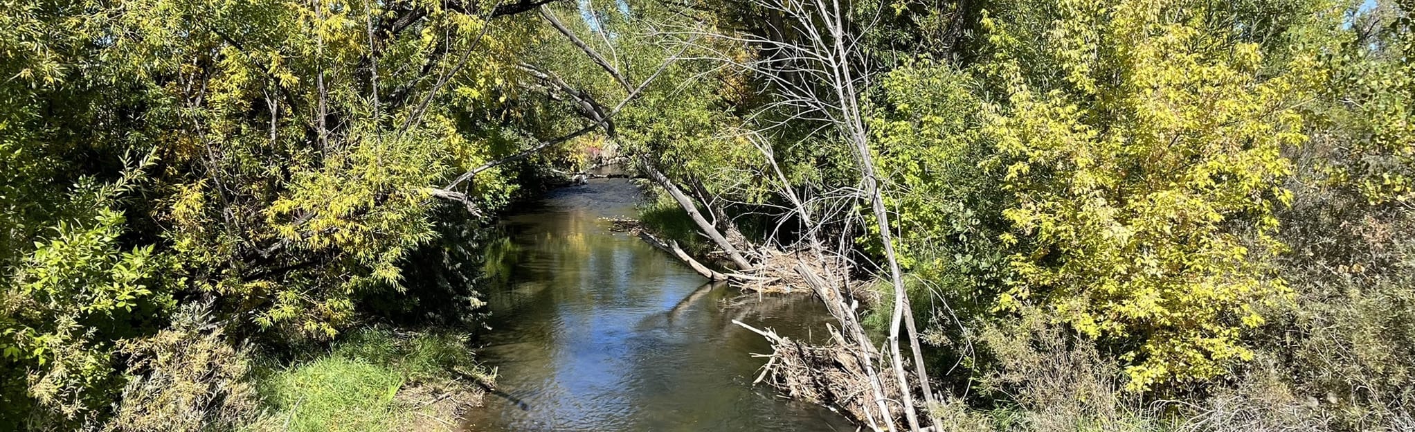 Boulder Creek Multi Use Path | Map, Guide - Colorado | AllTrails