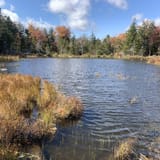 Stratton Mountain and Stratton Pond Loop, Vermont - 331 Reviews, Map ...