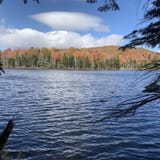 Stratton Mountain and Stratton Pond Loop, Vermont - 331 Reviews, Map ...