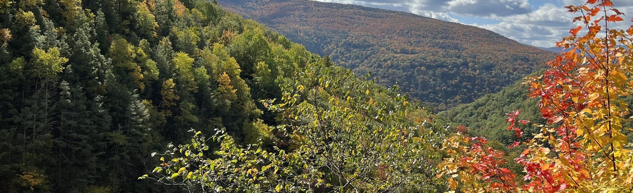 Kaaterskill Rail Trail to Kaaterskill Falls: 1229 Reviews, Map - New ...