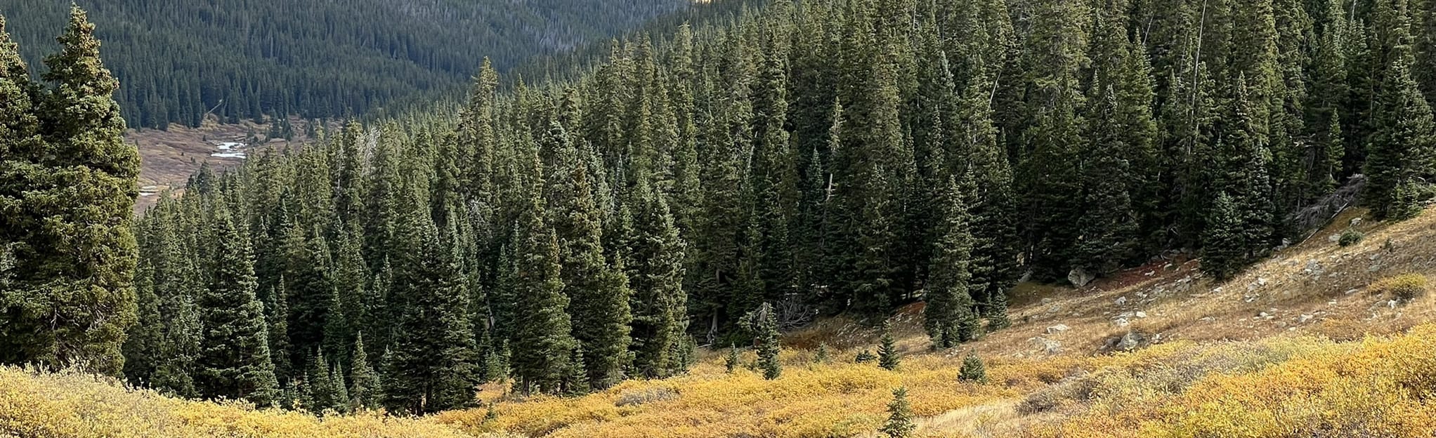 Copper Triangle Loop, Colorado - 5 Reviews, Map | AllTrails