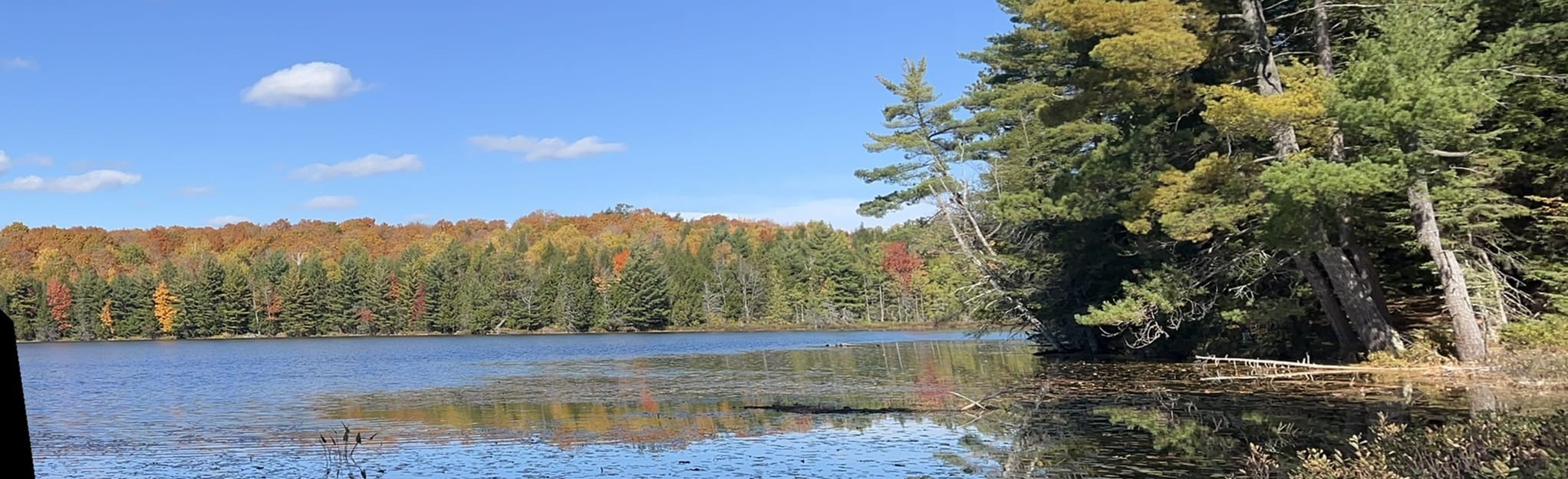 Raven Red Trail Loop: 142 Reviews, Map - Wisconsin | AllTrails