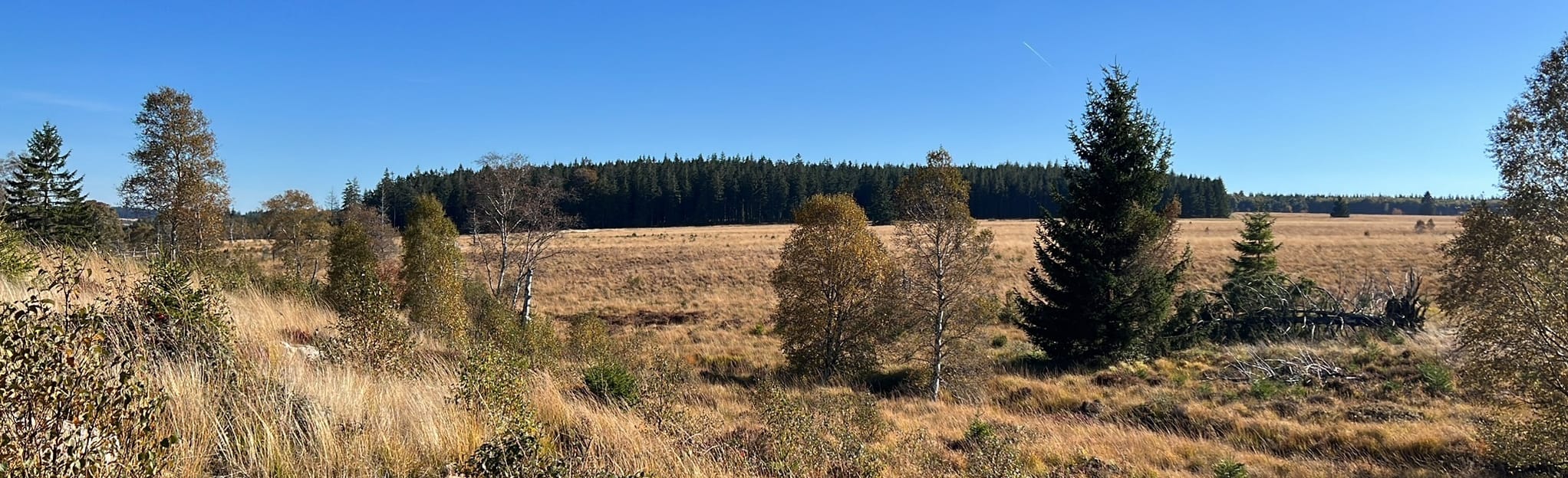 Fagne Wallonie, 384 Photos - Province de Liège, Belgique | AllTrails