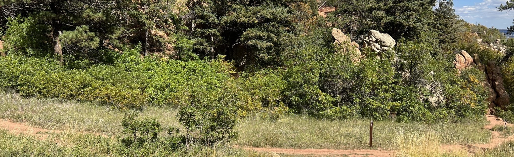 Blodgett Peak : 2,250 Reviews, Map - Colorado | AllTrails