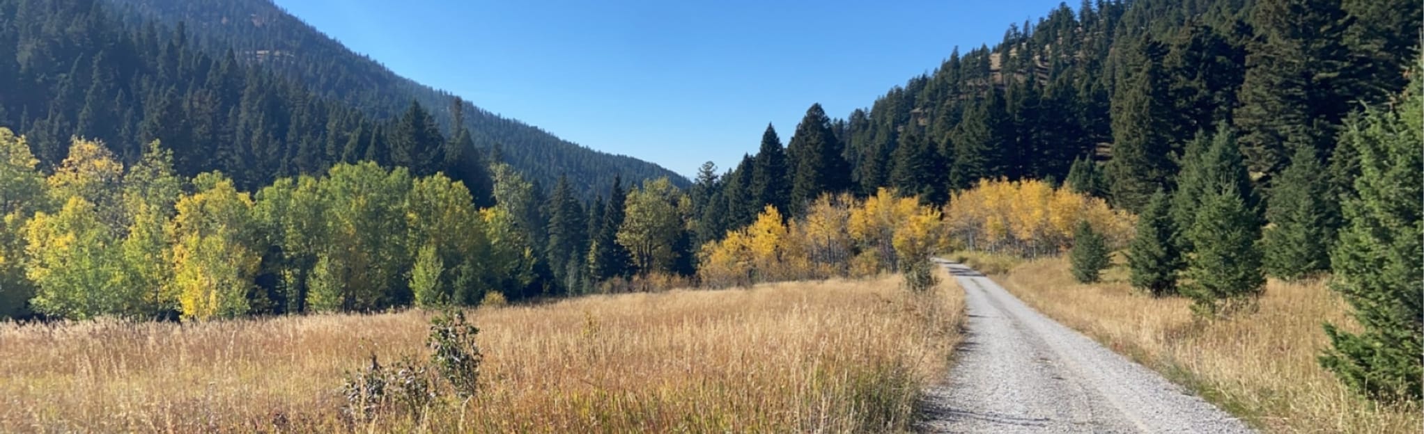 Stone Creek Trail, Montana - 69 Reviews, Map | AllTrails