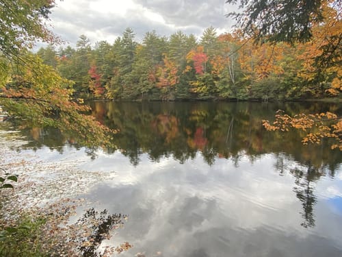 Best Hikes and Trails in Contoocook River Park | AllTrails