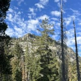 Historic Donner Pass Trail, California - 709 Reviews, Map | AllTrails