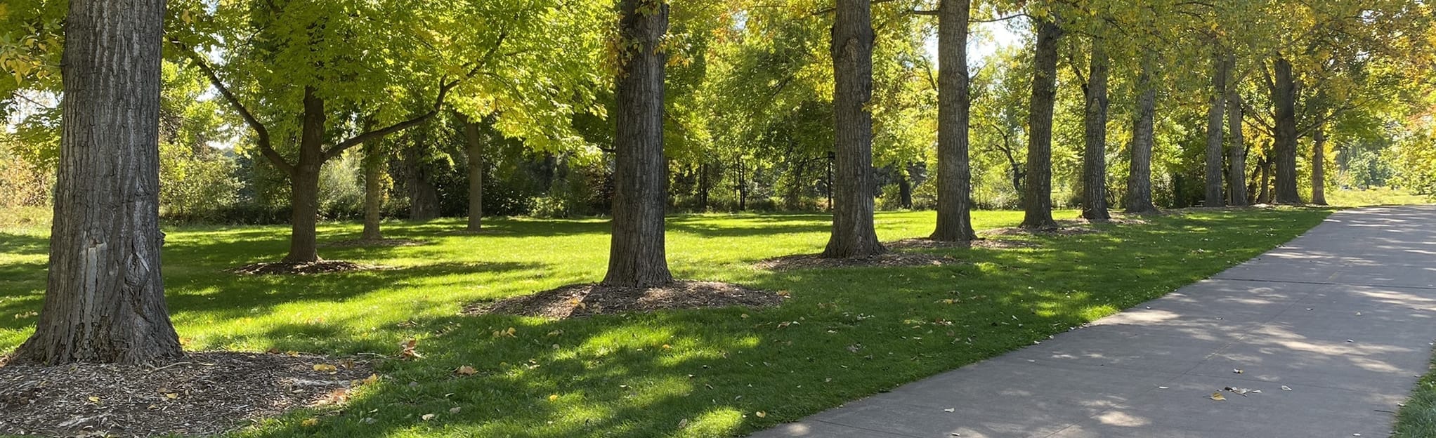 Rolland Moore Park Outer Loop: 115 Reviews, Map - Colorado | AllTrails