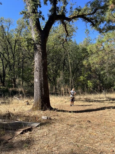 Las mejores rutas en Weimar University en 2023 | AllTrails