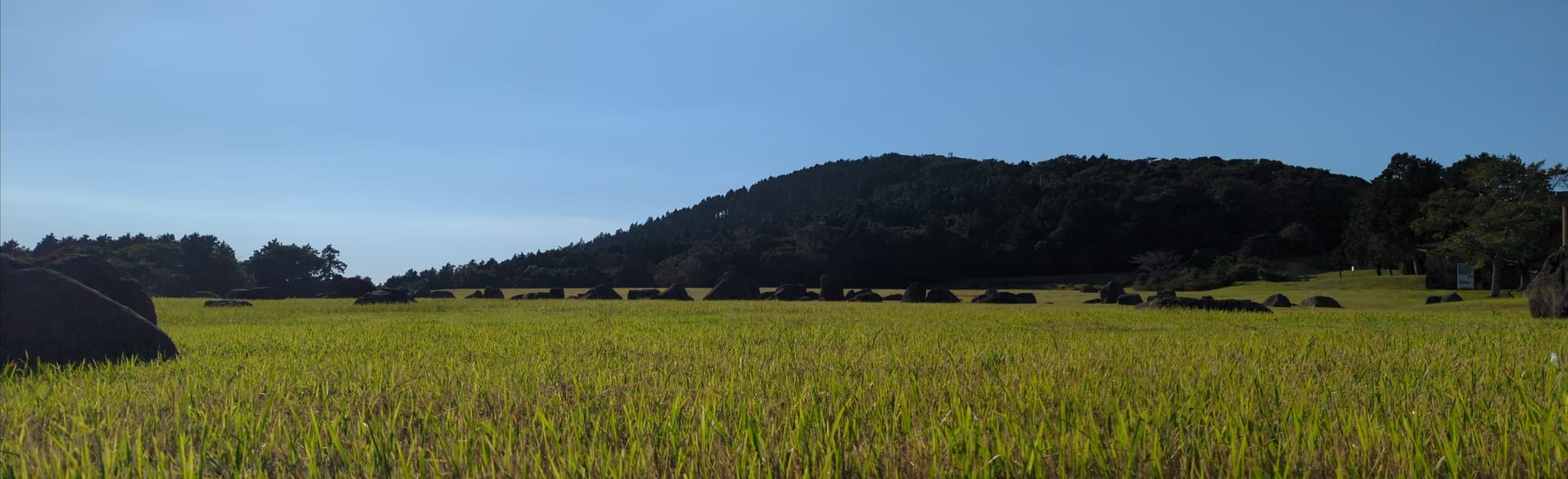 Eboshidake Park - Mount Eboshi Loop: 24 Fotos - Nagasaki, Japan | AllTrails