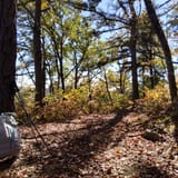 Slacks Trail, Virginia - 34 Reviews, Map | AllTrails