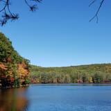 Goose Pond Loop, New Hampshire - 554 Reviews, Map | AllTrails