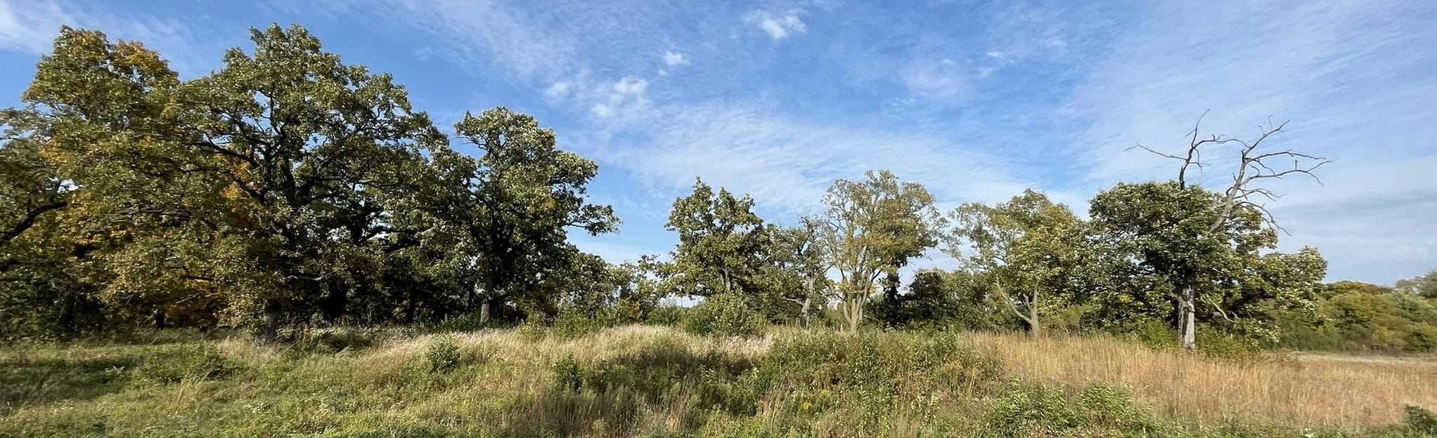 Oak Ridge Forest Preserve Upper Loop: 35 Reviews, Map - Illinois ...