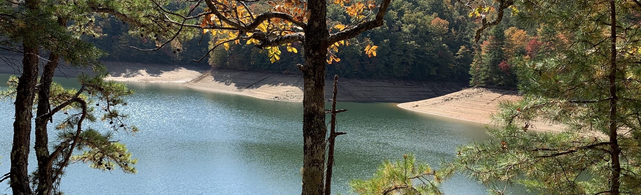 Tsali Left Loop, North Carolina - 113 Reviews, Map | AllTrails