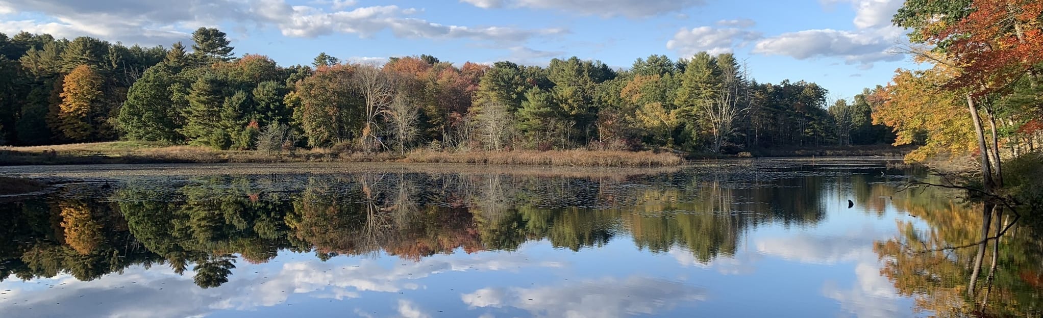 Mount Hope Park Trail: 16 Reviews, Map - Connecticut | AllTrails