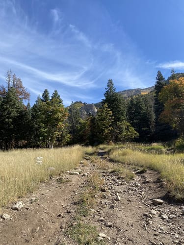 Best 10 Hikes and Trails in Lone Peak Wilderness | AllTrails