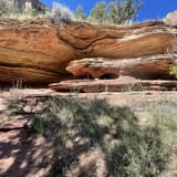 Jones Hole Trail, Utah - 276 Reviews, Map | AllTrails