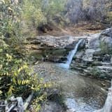 Jones Hole Trail, Utah - 228 Reviews, Map | AllTrails